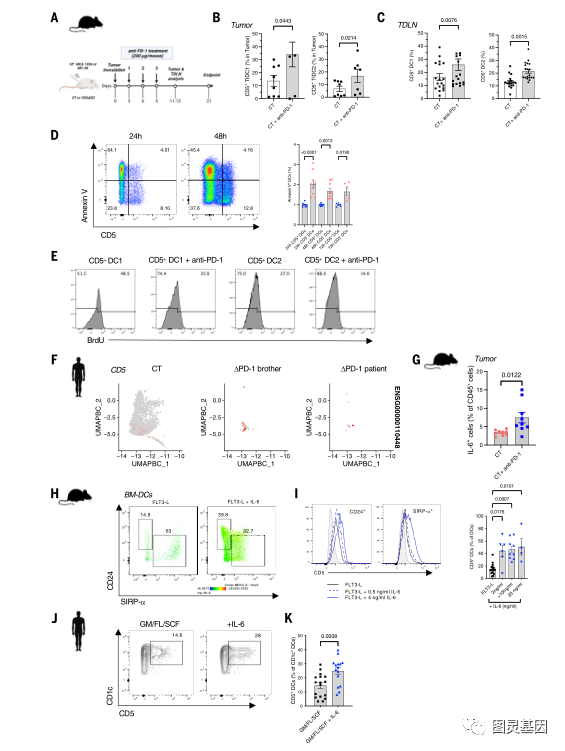 Science | 表达CD5的树突状细胞指导T细胞免疫并维持免疫治疗应答 - 知乎