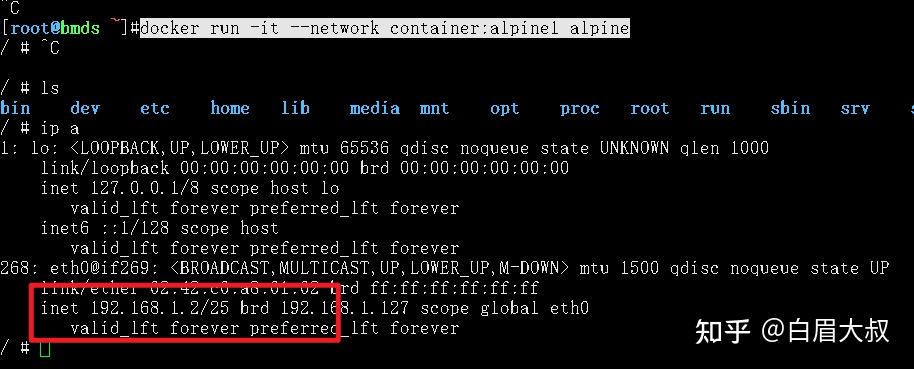 36-docker 共享其他容器的网络实战 - 知乎