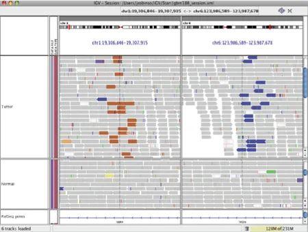 基因组浏览器IGV的安装和图形解读 - 知乎