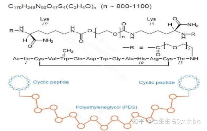 双功能肽的前世今生 - 知乎