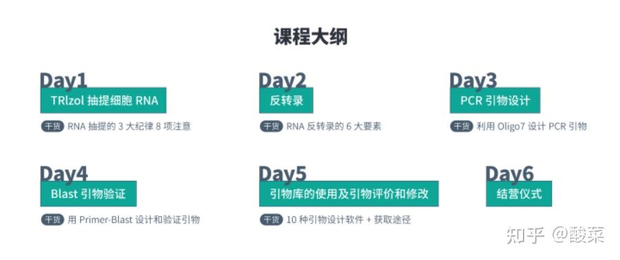 华中科技大学课题组在38分的STTT发表超重磅综述，带你详解这一经典热门通路！ - 知乎