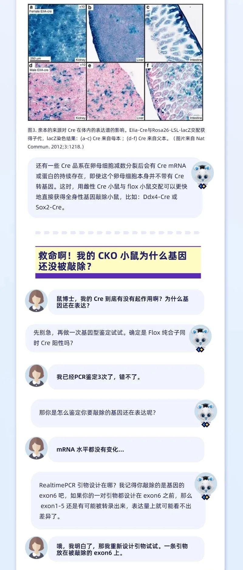 鼠博士吐血整理：条件性基因敲除小鼠使用注意事项 - 知乎
