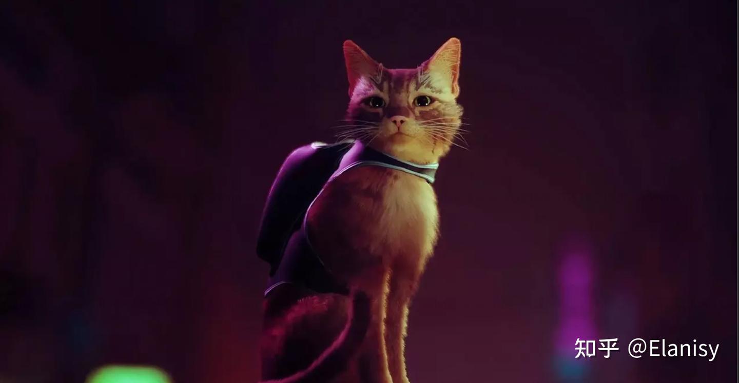 《stray》游戏测评 - 知乎