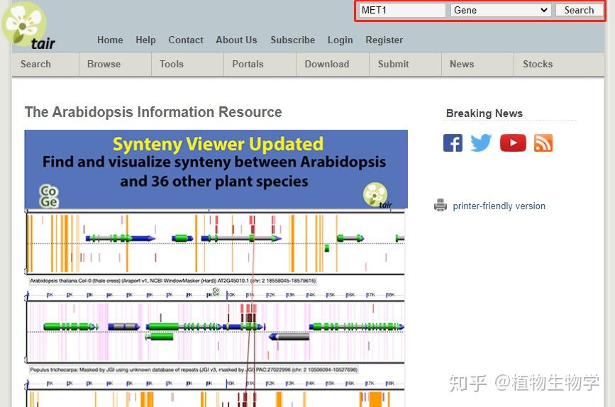 拟南芥种子订购详细攻略-TAIR-ABRC篇 - 知乎