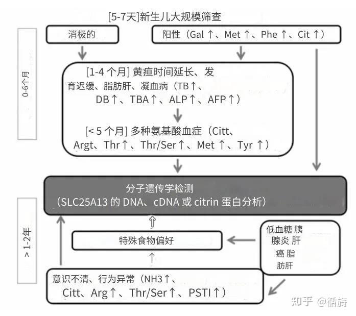 Citrin希特林蛋白缺乏症：引起肝内胆汁淤积、高血脂、精神异常、高氨血症、厌食高碳水食物的代谢障碍疾病 - 知乎