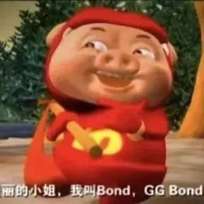热门猪猪侠：美丽的小姐我叫Bond,GGBond表情包 - 知乎