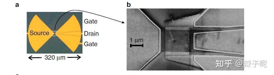 Direct nanoscopic observation of plasma waves in the channel of a ...