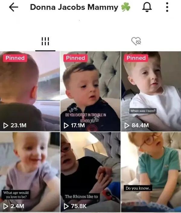 TikTok电商化之后，跨境电商要pick哪个网红 - 知乎