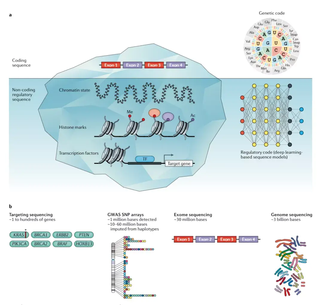 Nat Rev Genet | 解码疾病：从基因组到网络再到表型 - 知乎