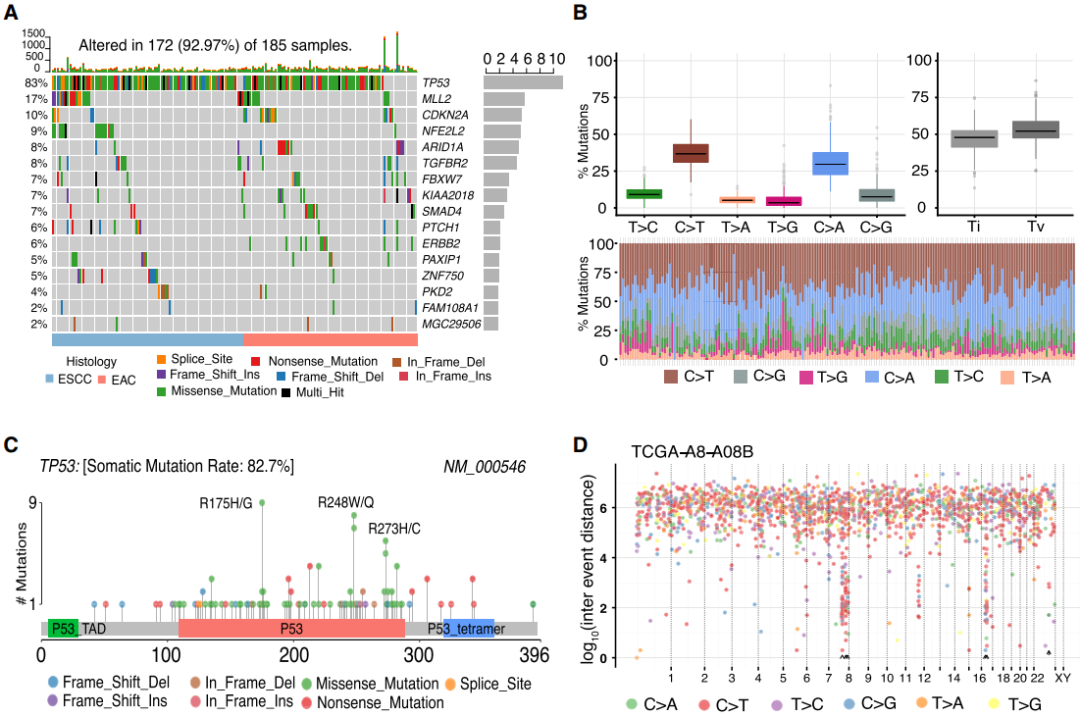一文学会R包 maftools 简介使用 - 知乎