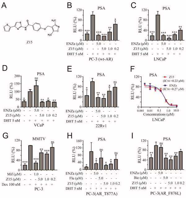 eLife︱周金明团队等发现一类新型选择性雄激素受体降解剂 - 知乎