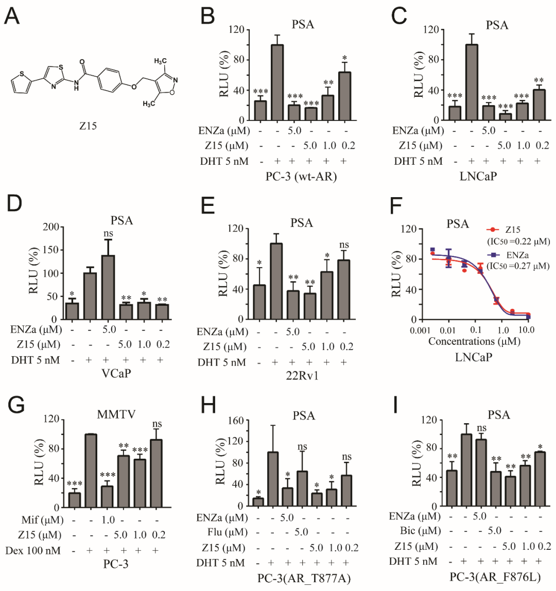 eLife︱周金明团队等发现一类新型选择性雄激素受体降解剂 - 知乎