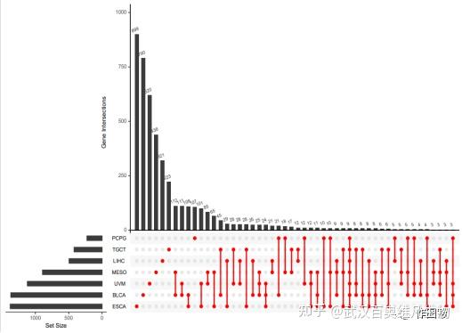 R|UpSetR包-集合可视化 - 知乎