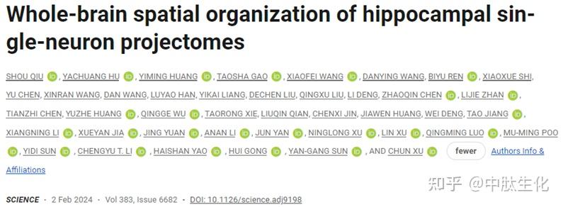 Science：我国科学家揭示小鼠海马体单神经元全脑投射原理 - 知乎