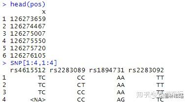 LDheatmap | SNP连锁不平衡图（LD）可视化，自己数据实现版！ - 知乎