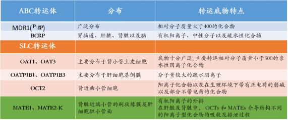 国内首家！IPHASE OATP1B1 SLC转运体细胞研发成功 - 知乎