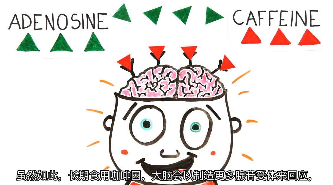 我们是如何对咖啡上瘾的:咖啡因的作用详解 - 知乎
