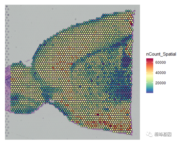 SCS【21】单细胞空间转录组可视化 (Seurat V5) - 知乎
