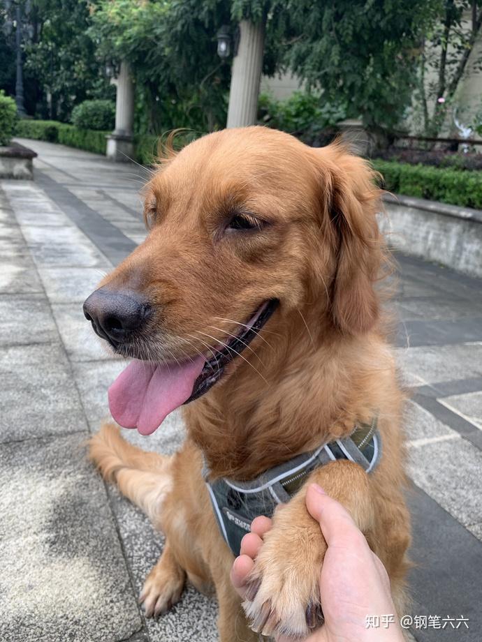 百乐相同笔尖的笑脸、贵妃、纤扬、78G、88G、17G、探索者、珮尔娜、格兰斯如何选？进来看答案 - 知乎