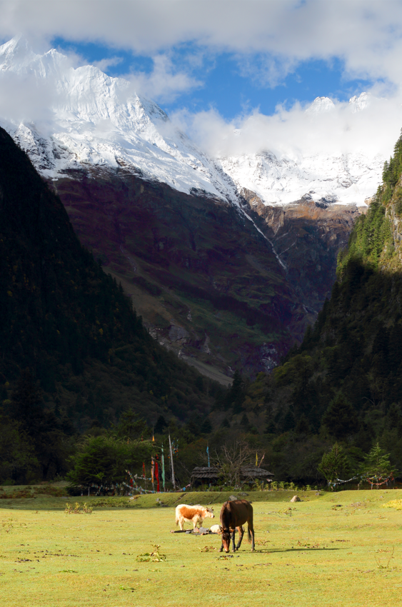 最佳观赏季来临！这条经典徒步线路带你深入滇西北雪山秘境 - 知乎