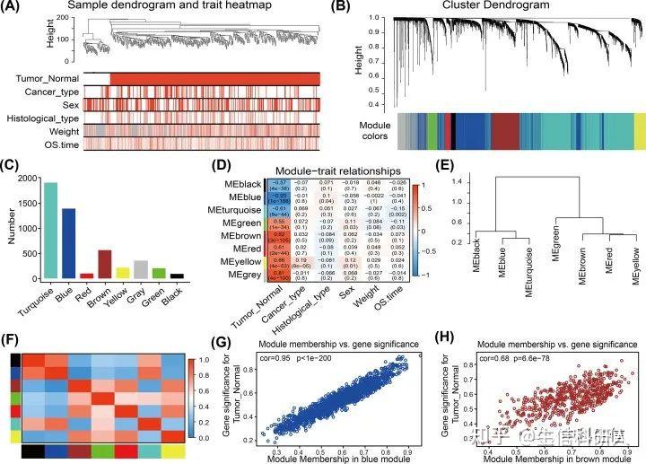 3+ WGCNA可替换PPI筛选hub基因 - 知乎