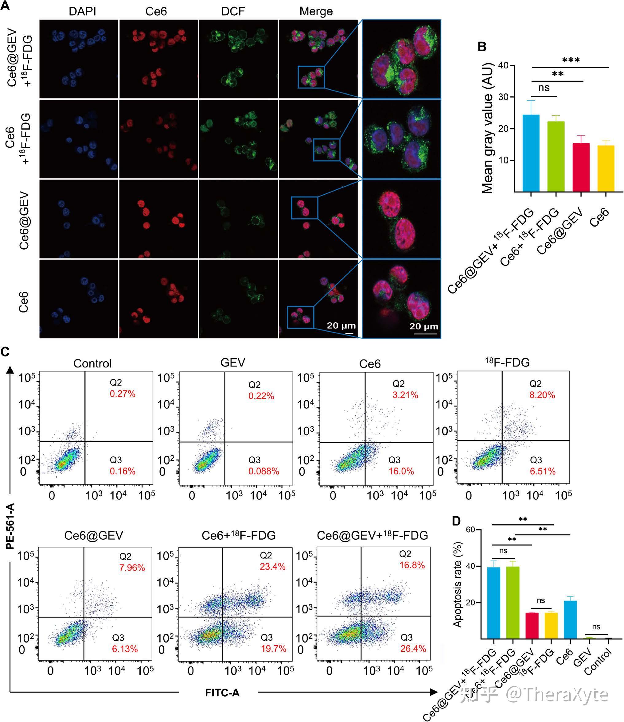 外泌体用于光动力疗法以实现对肿瘤的精准治疗 - 知乎