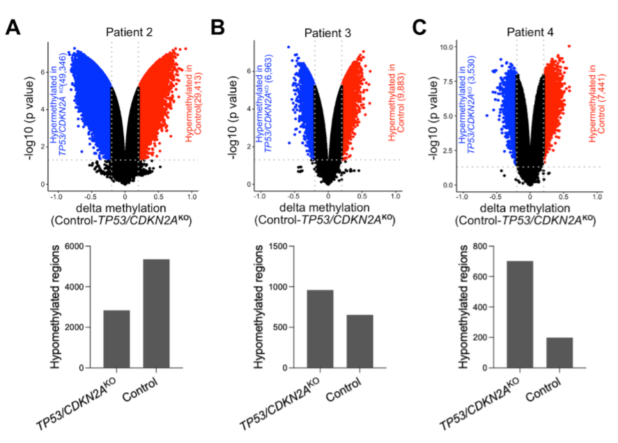 STM | 胃食道癌三维器官模型研究胃食管连接部（GEJ）癌症 - 知乎