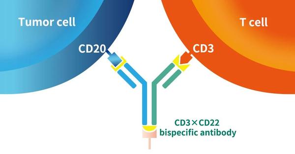 FDA整治药企拖延症，暂缓第四款CD3×CD20双抗上市 - 知乎