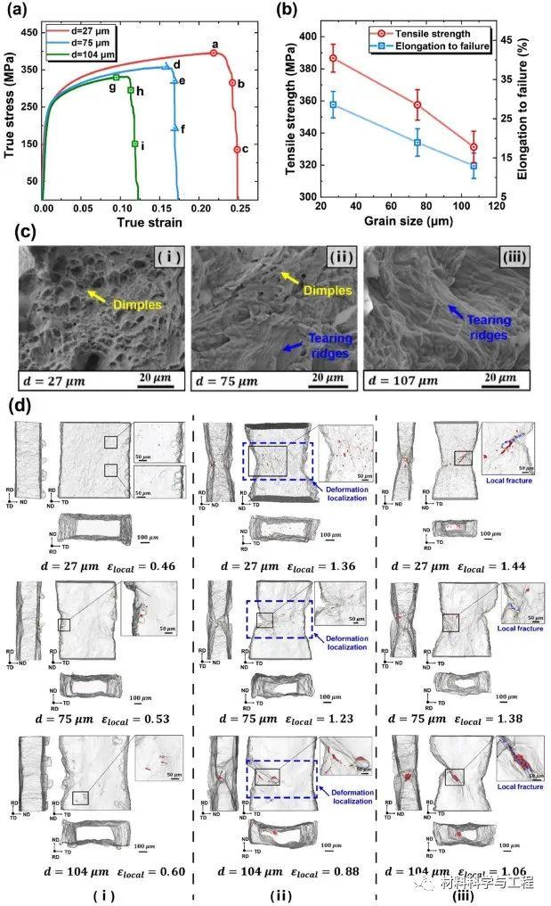 上海交大《Scripta Materialia》：钛板晶粒尺寸依赖的韧脆断裂机制 - 知乎