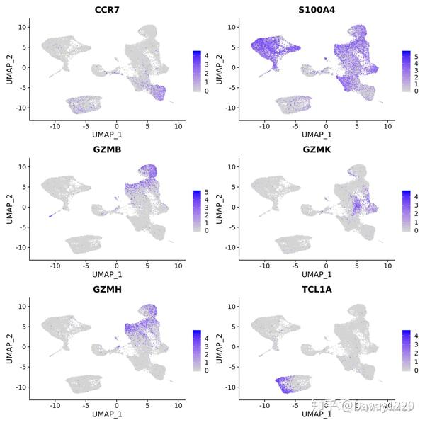 Seurat包学习笔记（二）：Integration and Label Transfer - 知乎