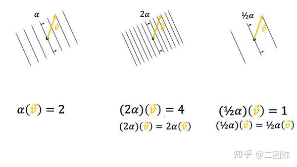Vector 和 Covector - 知乎