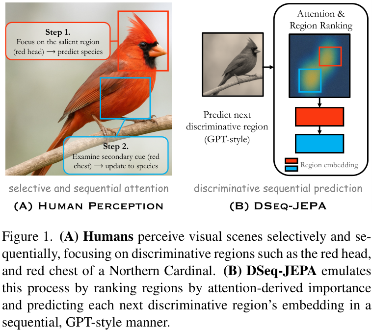给JEPA装上“眼睛”和“大脑”：DSeq-JEPA实现从整体感知到有序推理的进化，多任务性能显著提升 - 知乎