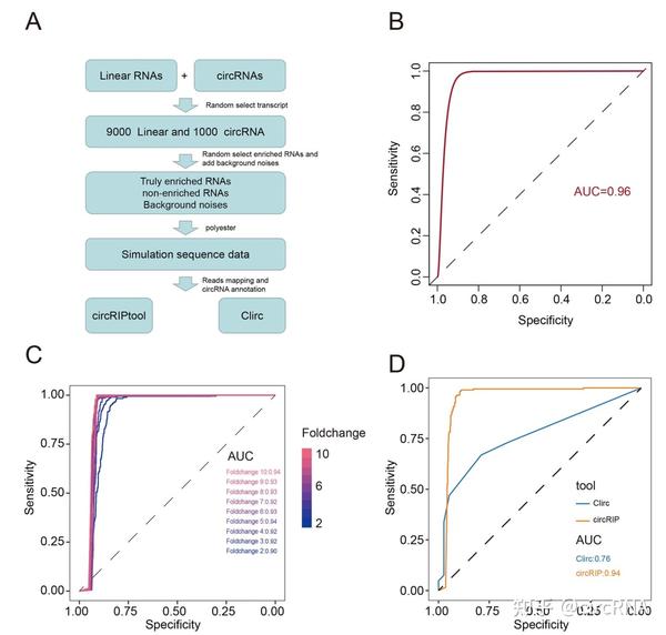 circRIP：识别环状RNA-RBP相互作用的工具 - 知乎