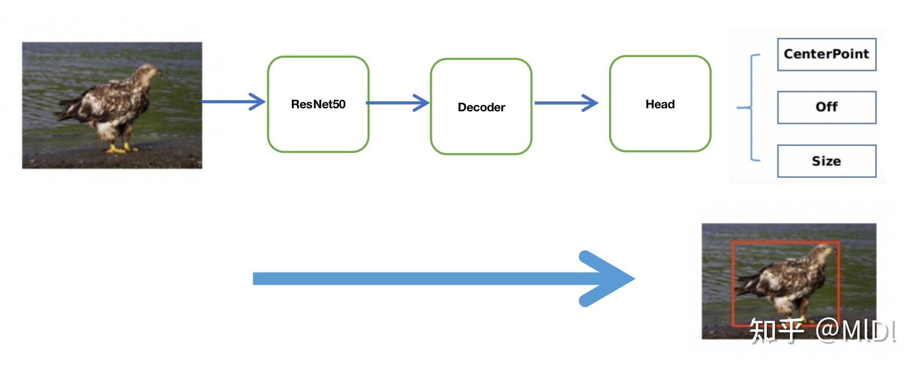 Anchor Free 目标检测算法之CenterNet - 知乎