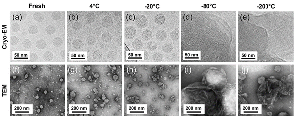 【耀文解读】mRNA制剂篇：自复制mRNA-LNP的缓冲液和冻干工艺优化 - 知乎