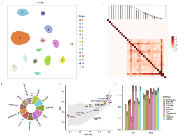 Nat. Commun. | 基于深度度量学习对单细胞转录组学数据进行批次对齐 - 知乎