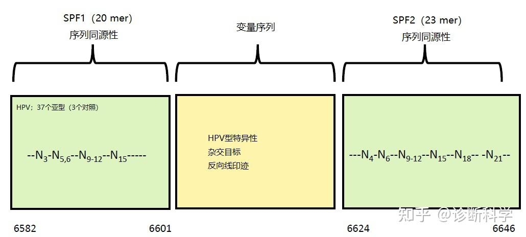 技术 | 探针-靶点结合的特异性，严格性和Tm值 - 知乎