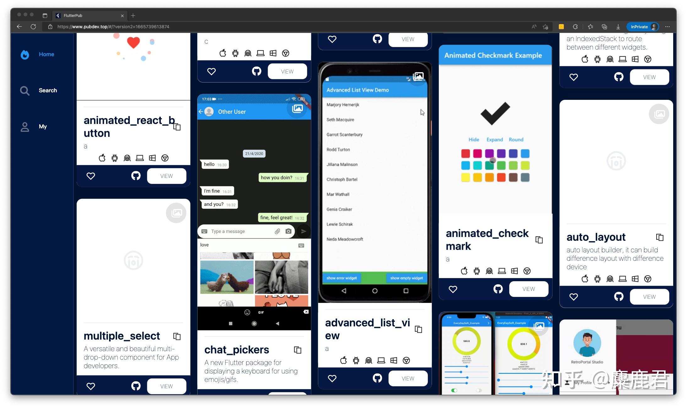 Flutter 可视化浏览发现好玩有趣的packages 知乎