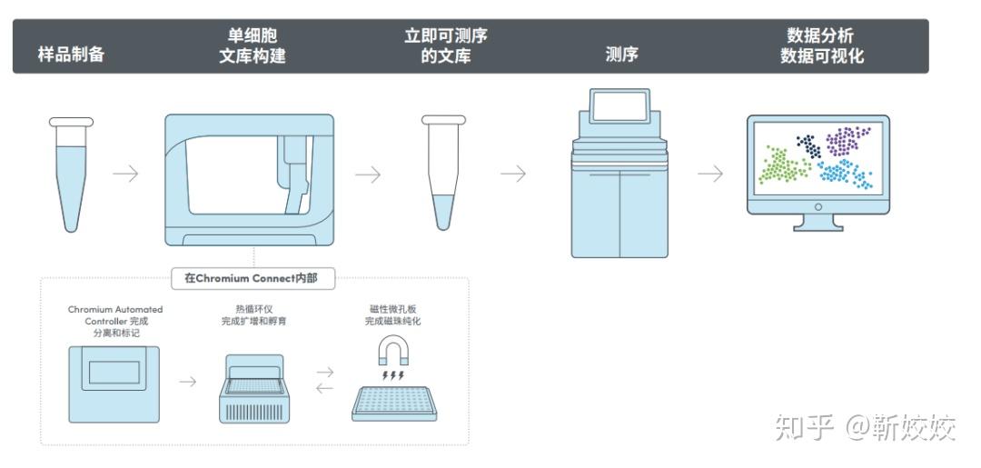 10x Genomics单细胞自动化工作站 - 知乎