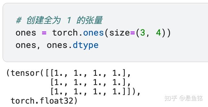 Pytorch 基础 知乎 