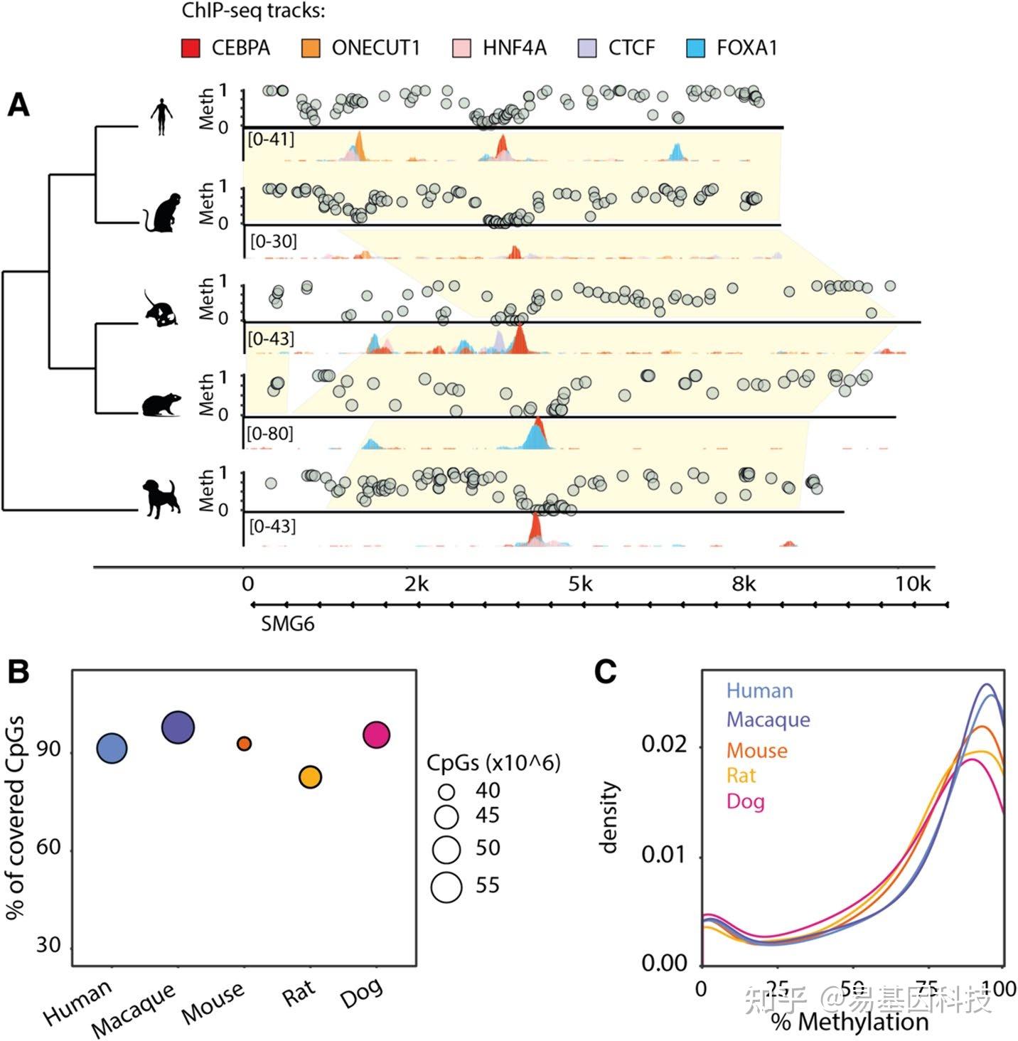 ChIP-seq+WGBS分析揭示转录因子结合区DNA甲基化表征其功能和进化背景 - 知乎