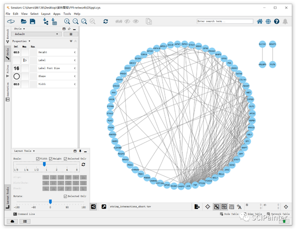 Cytoscape教程|如何构建排序的环状蛋白互作网络图？ - 知乎