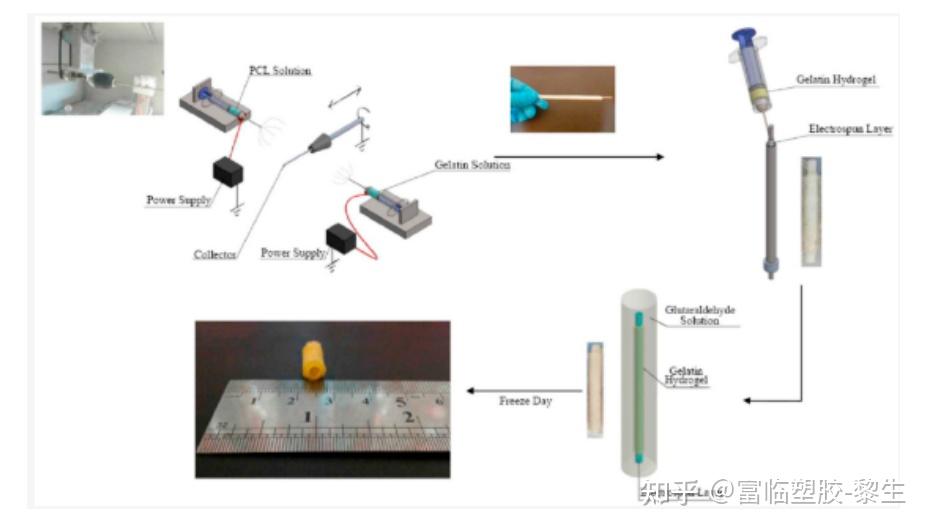 PLGA Biofelt植入级无纺布无细胞小直径组织工程血管移植物 - 知乎