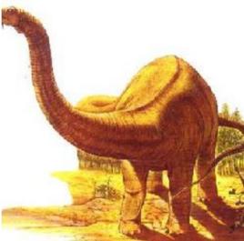 地质年代细分时间，标志，及各阶代表生物：早白垩纪，贝里亚期——巴列姆期 - 知乎