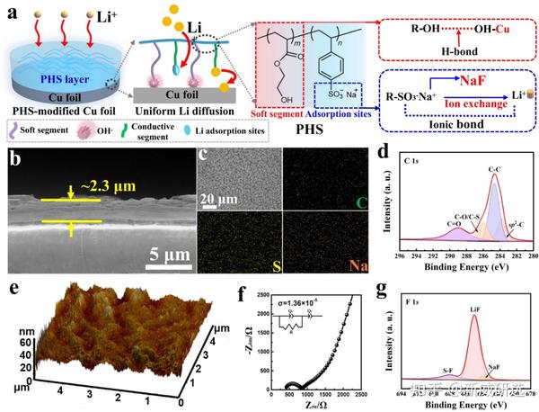 学术前沿|Nat. Commun.：人工SEI保护策略实现6 Ah级锂金属软包电池 - 知乎