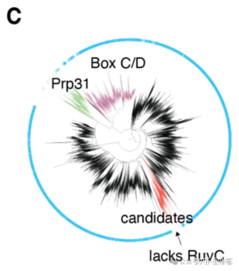 张锋发现新RNA引导系统TIGR-Tas：挖掘详述 - 知乎