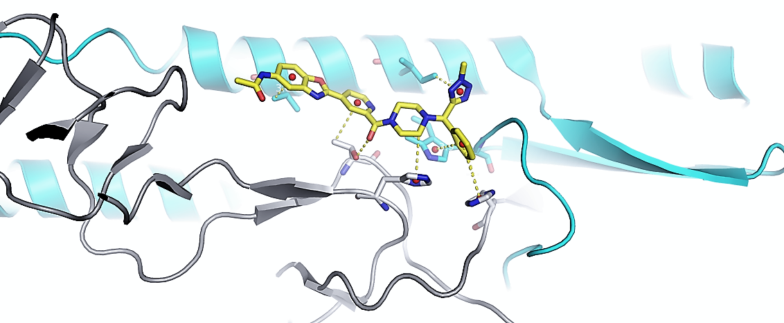 零基础PyMOL作图教程——绘制蛋白质-分子结合模式图 - 知乎