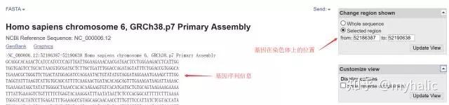 一文教会你查找基因的启动子、UTR、TSS等区域以及预测转录因子结合位点 - 知乎
