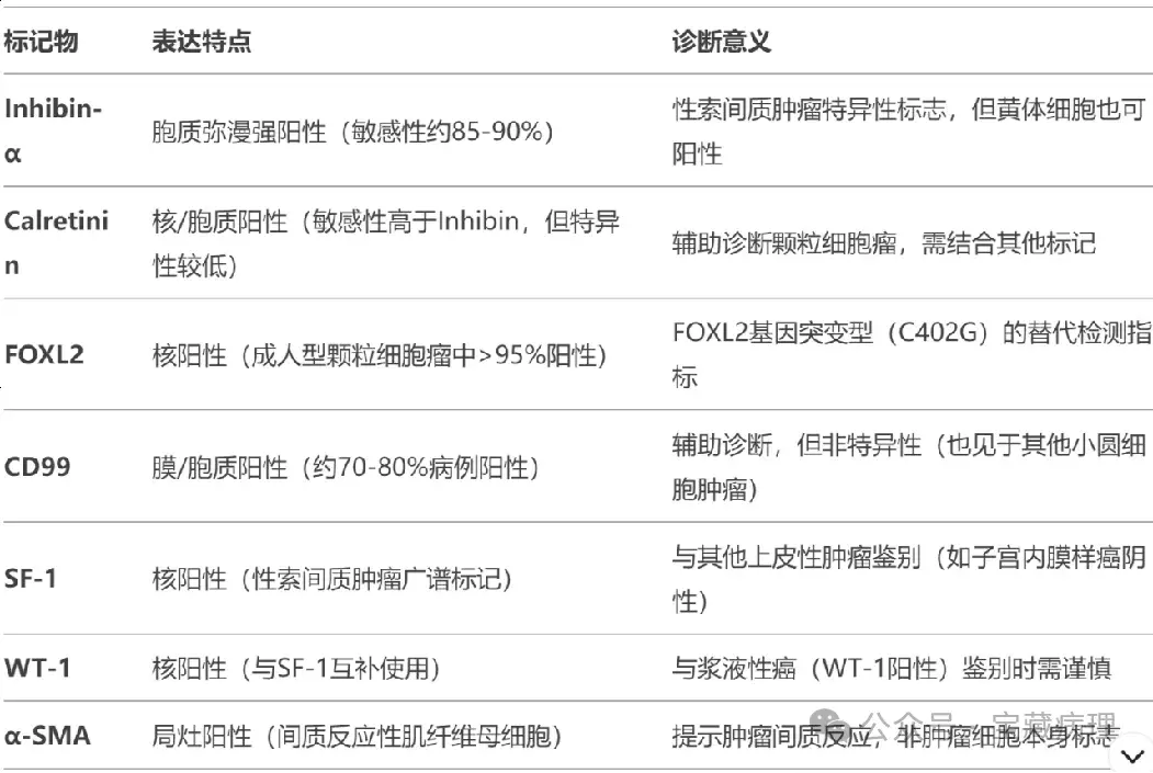 探秘Call-Exner小体【病理诊断须知】 - 知乎