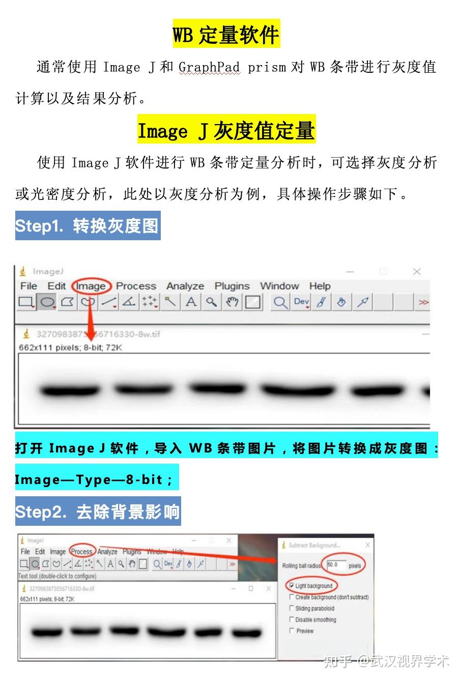 实验技巧｜WB定量方法—灰度值计算及分析！ - 知乎